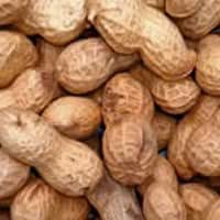 Monkey Nuts In Shells Large Bag - Johnston & Jeff 12.5Kg (Tp)(Shell ...