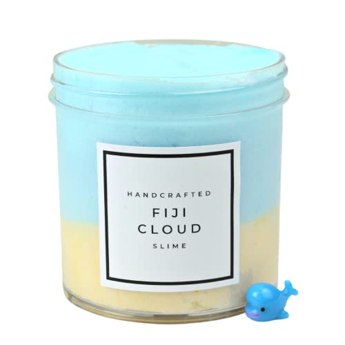 Amazon.com: Fiji Cloud Slime (SCENTED) | Handmade Slime | Hippocampe ...