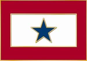 One Star Service Banner Lapel Pin - Brass : Amazon.ca: Home