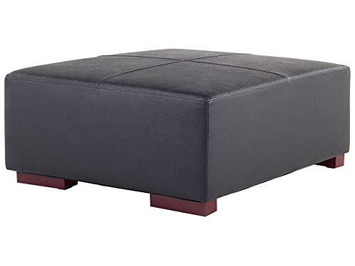 Kamelhocker – Die 15 besten Produkte im Vergleich - Hausbauberater Ratgeber