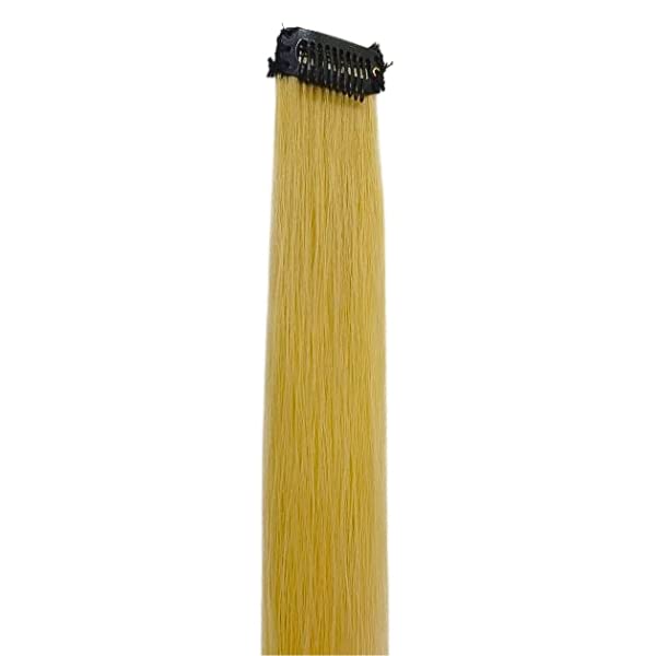 Neaama Hair and Beyond Single Clip Colored Hair Streak Extension With ...