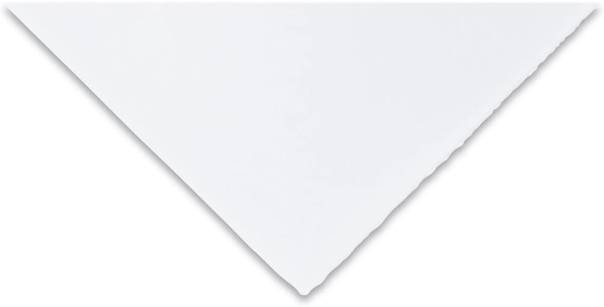 Amazon.com: Arches Platine Paper - Platine 145 g/m2 10 Sheets - 22"x30"