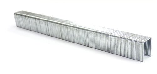Amazon.com: 3/8" LEG x 3/8" CROWN 22GA GALV C06 UPHOLSTERY STAPLES 200 ...