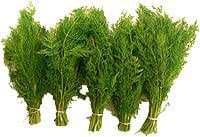 amorebio Dill Bund ca. 40g (1 x 6 Stk) : Amazon.de: Lebensmittel & Getränke