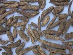 Vedic Ativish (Root) Powder-100 Gram Powder An Ayurvedic Product With ...