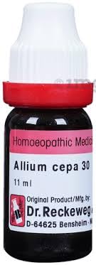 Buy Allium cepa 30 (Dr.Reckeweg) | 11ml X 2 | S&S Online at Low Prices ...