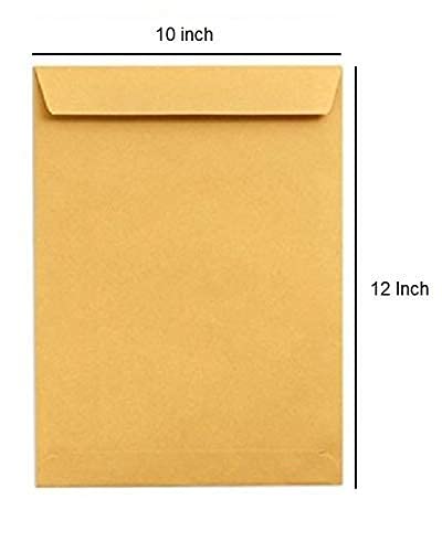 Buy Sehgal Laminated Yellow Paper A4 Size Envelope Ideal For Home ...