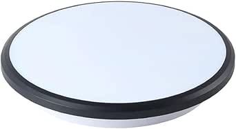 Ceiling Lamp LED Embedded Round Ceiling Lamp High Transmittance Acrylic ...