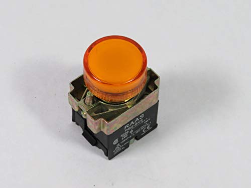 RAAS RB2-BV6-130 Pilot Light 130V 2.6W Amber Lens: Amazon.com ...