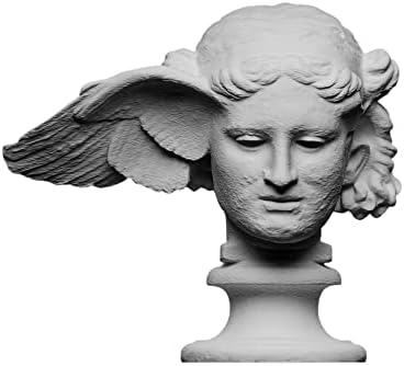 Amazon.com: Large Hercules Bust Statue, 20 inches 51 cm,Hercules Bust ...