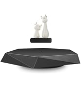 Amazon.com: INOVAXION Levitating Display Stand,Magnetic Floating ...