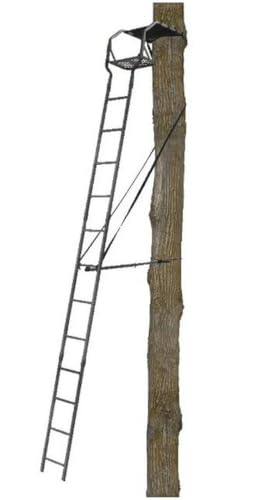 Best Ladder Tree Stand: Your Ultimate Companion for Elevated Hunting ...