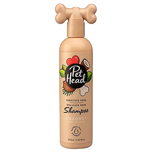 Shampoing pour chien : comment choisir ? – Jardingue