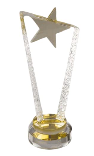 SHEIKH & SONS | Winner Trophy Award | Glass Momento for Best Star ...