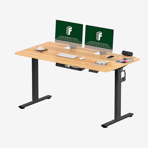 FLEXISPOT EN1 Electric Height Adjustable Standing Desk Review of 2025 ...