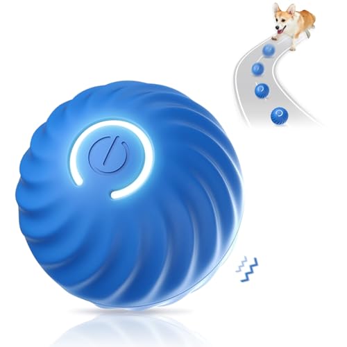 Interactive Dog Ball – The 15 best products compared - Wild Explained