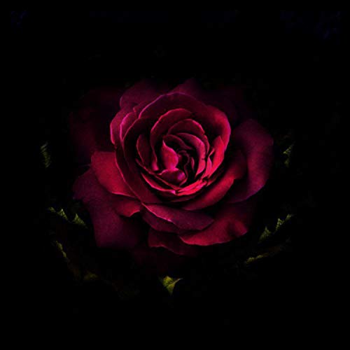 Outsini de LOKYGRAMME feat. Meiitod en Amazon Music Unlimited