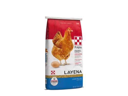 Cluck Yeah: 10 Must-Try Chicken Food Products - Your Ultimate Buying ...