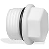 Amazon.com: 10(pcs) Pipe End Cap 3/4 inch MNPT – Sch 40 MNPT 3/4" PVC ...