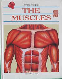 Muscles (Invisible World): Halton, Frances: 9780745152585: Amazon.com ...