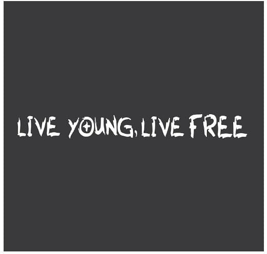 Stickers Live Young Live Car Stickers Free White Decals 30 X 3.5 Cms ...