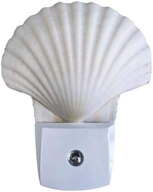 Florida Shells and Gifts Inc. Seashell Night Light Real White Scallop ...