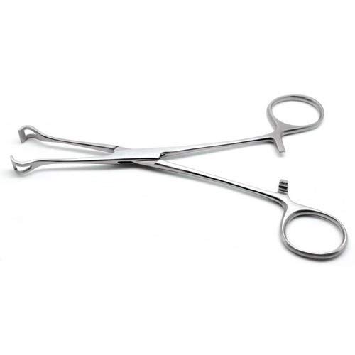 FORGESY Babcock CLAMP (8 inch) STAINLESS STEEL : Amazon.in: Industrial ...