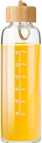 Amazon.com: Doseno Glass Bottles with Lids, Glass Water Bottle with ...