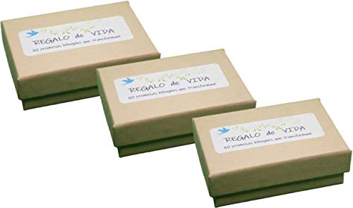 Amazon.com : Gospel Gift Set of 60 scripture cards Blessings Box ...