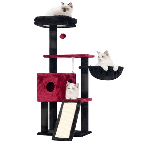 Black Cat Tree – The 15 best products compared - Wild Explained