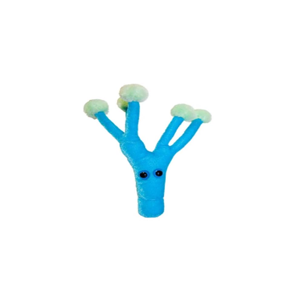 Buy GIANT MICROBES Penicillin Penicillium Chrysogenum Plush Toy Online ...