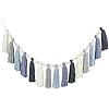 Amazon.com: Blue Tassel Garland Pastel Banner,Coastal Boho Tassel Wall ...