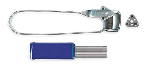 Amazon.com: Triple Flint Lighter,W/Flint and Cleaner : Health & Household