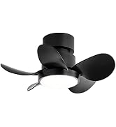 Amazon.com: SODSEA Ceiling Fan with Light Remote Control, 48 Inch Low ...