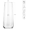 Amazon.com: Krosno Flower Vase, 9,5 x 3,9 in, Pure Collection, Premium ...
