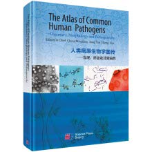 The Atlas of Common Human Pathogens __ Discovery. Morphology and ...