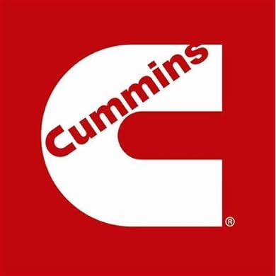 Amazon.com: Genuine Cummins 3969698 SEAL,O RING : Automotive