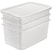Amazon.com - Dicunoy 3 Pack Lidded Storage Bins with Lids, White ...