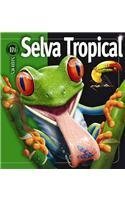 Selva tropical/ Rain Forests (Insiders) (Spanish Edition): Vogt ...