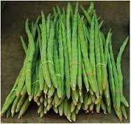 Buy Drum Stick-Moringa,Murangai, Saijan Ki Phalli,Saragavo (15 Seeds ...