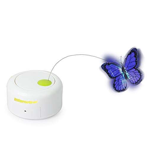 Top 10 Best Motion Activated Cat Toy : Reviews & Buying Guide - Katynel