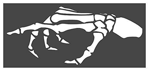 Kid Ink Skeleton Hand
