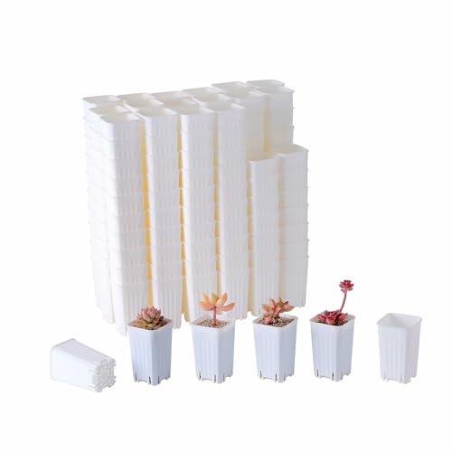 Best Square White Plastic Plant Pots for Your Home Garden – Complete Garden