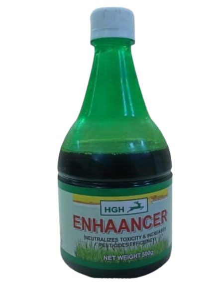 Gomutra Desi Cow Urine Original, Gomutra ARK Distilled For Drinking ...