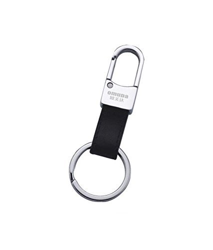 Stylish Hook Locking Silver Metal Carabiner Double Ring Hook Metal Key ...