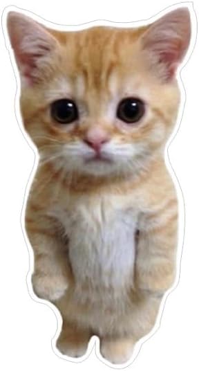 Amazon.com - MAKTEM Standing 3D Cat Decal Stickers for Car Window ...