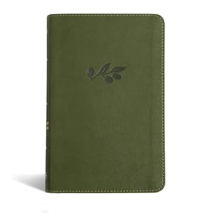 NASB Personal Size Bible, Rose Gold LeatherTouch, Red Letter ...