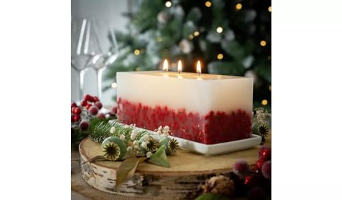 Large Inclusion Candle with Organic Red Berries Encapsulated Into The ...