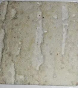 Rustic Wall Texture Paint - White : Amazon.in: Home Improvement