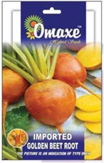Beet Root Imp Golden Exotic Seeds - Pack of 2 Kitchen garden seeds ...